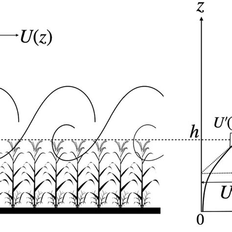 Comparison Of Approaches For Estimating The Canopy Shear Length Scale