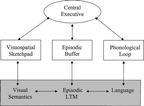 Memory Models Ryan Psych