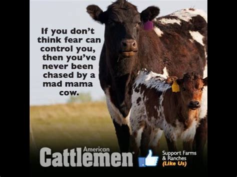 Funny Quotes About Farm Animals Shortquotescc