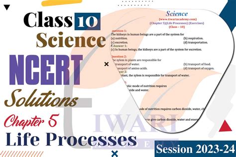 Ncert Solutions For Class 10 Science Chapter 5 Life Processes