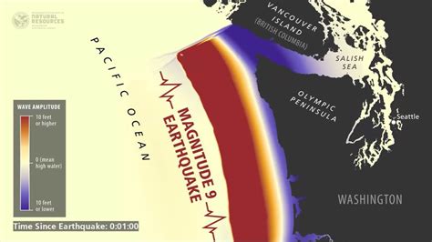 Simulation Videos Show What Tsunami Would Do To Washington Coast