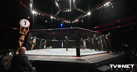 Cik Daudz Nopelna Ufc Ringa Meitenes