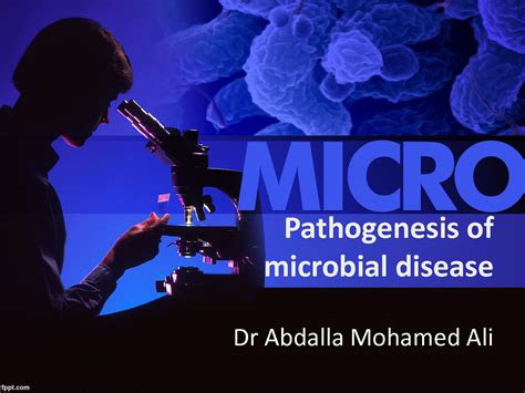 Solution Pathogenesis Of Microbial Disease Studypool