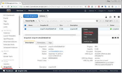 Aws Backup Automation With Nectus Network Monitoring Tools