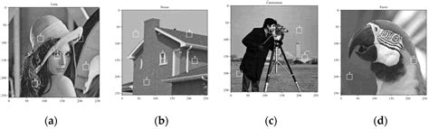 Low Complexity Adaptive Sampling Of Block Compressed Sensing Based On