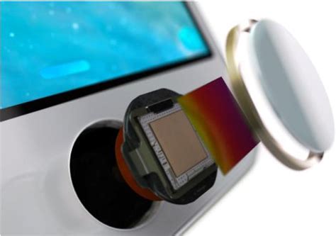 Iphone Fingerprint Sensor [28] Download Scientific Diagram