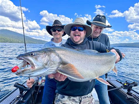 Best Lake Trout Fishing Lures Tubes Jigs Lights