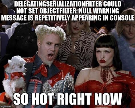 Meme Overflow On Twitter Delegatingserializationfilter Could Not Set Objectfilter Null