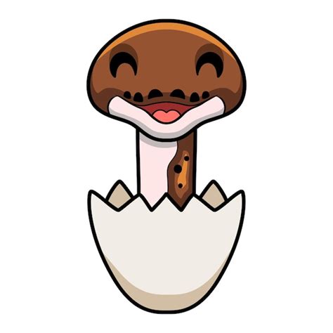 Premium Vector Cute Pied Reticulated Python Cartoon Inside An Egg