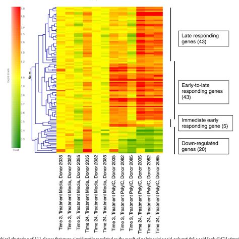 Poly Mononuclear Cells