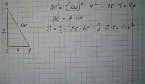 Как найти площадь прямоугольного треугольника