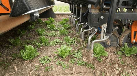 Farmwise Vulcan Autonomous Weeding Robot Agtecher The Agri Tech Place