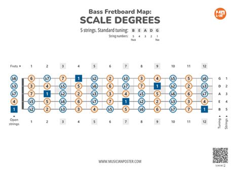 Guitar Fretboard Chart