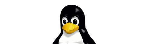 Optimizing Linux For Slow Computers Hackaday