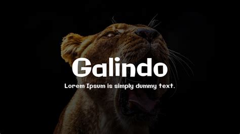 Galindo Font Download Free For Desktop And Webfont