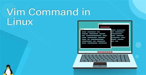Cách Sử Dụng Vim Trong Linux Lệnh Vim Trong Linux
