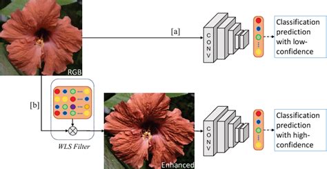 Figure 1 From Classification Driven Dynamic Image Enhancement Semantic Scholar