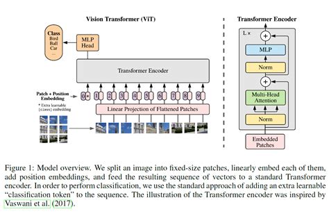 Vitvision Transformer 논문 설명an Image Is Worth 16x16 Words Transformers For Image Recognition