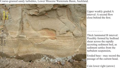 Sedimentary Structures Turbidites Geological Digressions