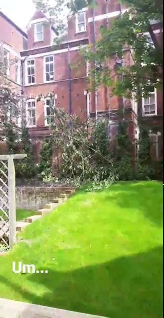 I Have So Many Things To Say About This I Don T K Tumbex