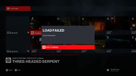 Why Cant I Load My Save Rhitman