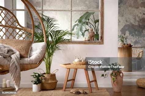 교수형 그네 의자 화분에 식물 창문 화장실 및 개인 액세서리가있는 거실 인테리어의 창조적 인 구성 가정 장식 템플렛 실내 장식에 대한 스톡 사진 및 기타 이미지 Istock