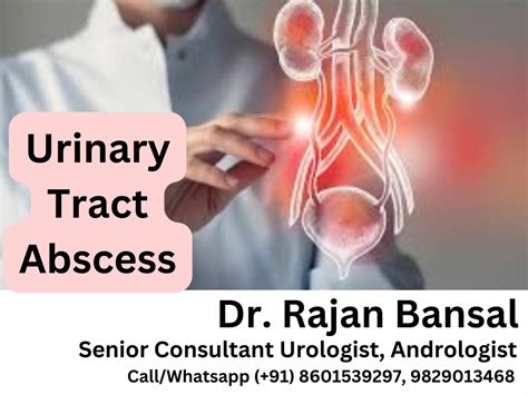 Urinary Tract Abscess Causes Symptoms And Treatment