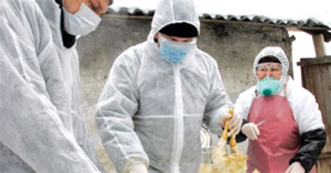 과학이야기 스페인독감바이러스 부활하다