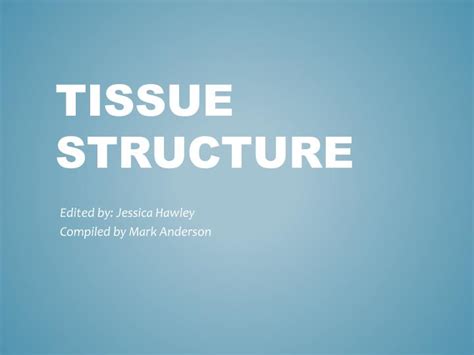 Ppt Tissue Structure Powerpoint Presentation Free Download Id 2100914
