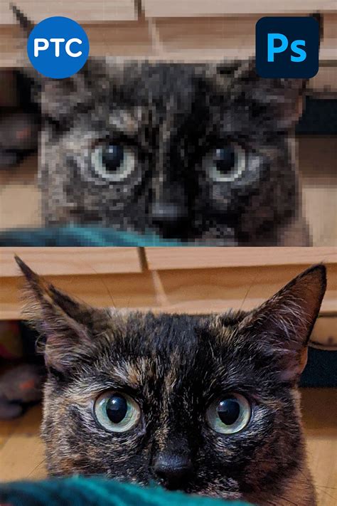 Remove Jpeg Compression Artifacts In Photoshop Artofit