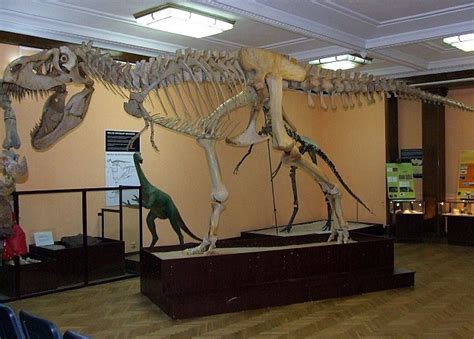 Hunt For Rare Tarbosaurus Skeleton After Police Smash International