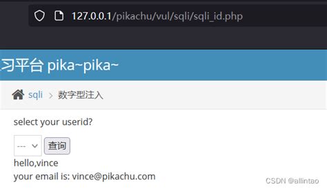 一文了解pikachu的sql注入pikachu Sql注入 Csdn博客 一文了解pikachu的sql注入pikachu Sql注入 Csdn博客