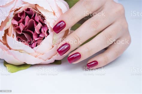 아름 다운 자연 손톱입니다 매니큐어를 청소 하 고 네일 아트 여자의 손 네일아트에 대한 스톡 사진 및 기타 이미지 네일아트 매니큐어 미용술 매니큐어 화장품 Istock