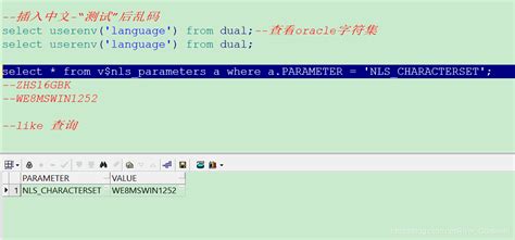 【oracle】数据库中文乱码查找原因及解决办法oracle 中文乱码 Csdn博客