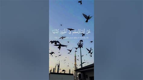 ﴿إن الذين قالوا ربنا الله ثم استقاموا تتنزل عليهم الملائكة ألا تخافوا ولا تحزنوا ﴾ [فصلت ٣٠