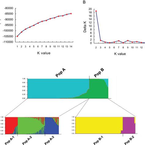 Determination Of The Optimal Value Of K And Inferred Population