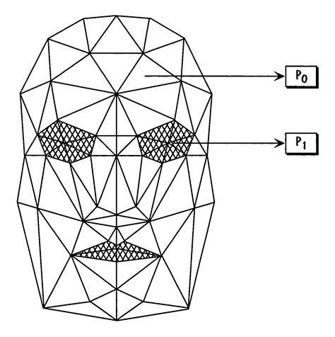 Coding Geometric Human Face