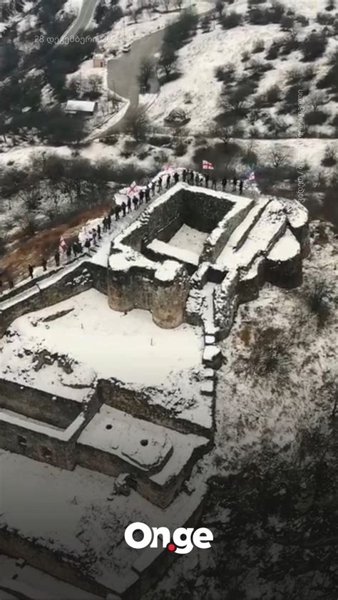 On Ge 🎄🎊მომიტინგეებმა აქციაზე ნაძვის ხე აანთეს Instagram