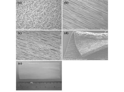 Scanning Electron Micrographs Of Random And Aligned Orientated