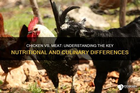 Chicken Vs Meat Understanding The Key Nutritional And Culinary
