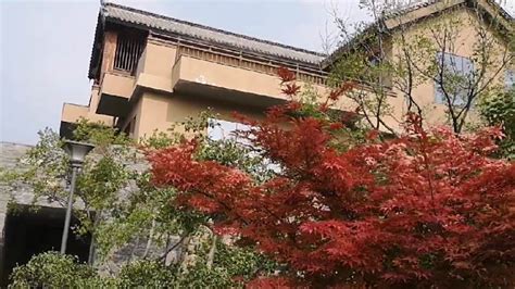 曲阜尼山书院，宜住宜养宜读书！静思休闲好去处！光看就很美！ 旅游 旅途风光 好看视频