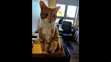 Teku 1oneam Ohsxnta Type Beat 13711 Youtube