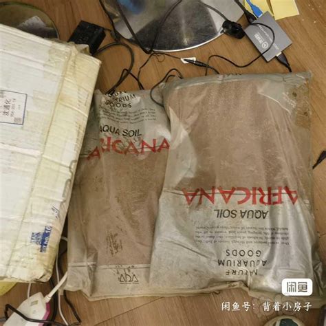 最后一次降价出ada红泥没人要扔花园里了 泡泡水族