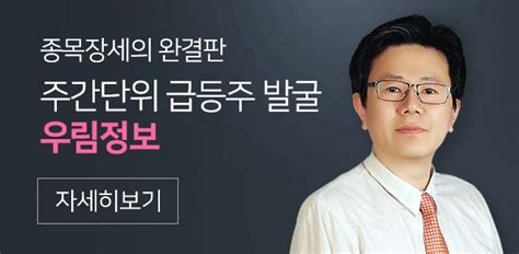 투자전략 팍스넷 증권포털