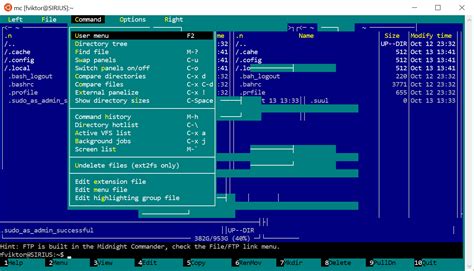Broken Rendering Of Midnight Commander Ncurses Console Application · Issue 80 · Microsoft