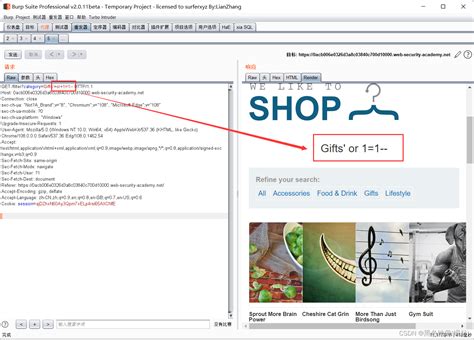 【burpsuite安全练兵场 服务端1】sql注入 17个实验(全)sql注入实验 Csdn博客 【burpsuite安全练兵场 服务端1】sql注入 17个实验(全)sql注入实验 Csdn博客