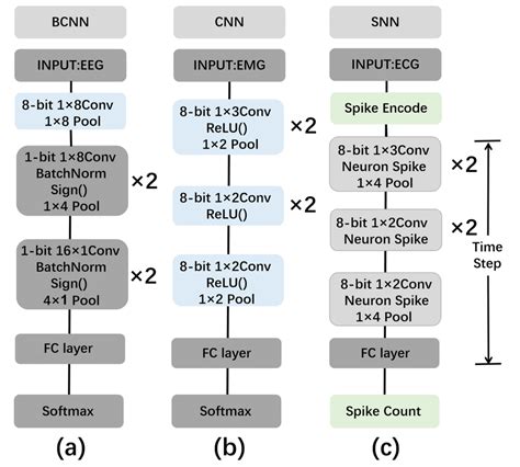 Neural Network Structure Of The Proposed System A Bnn Based Eeg