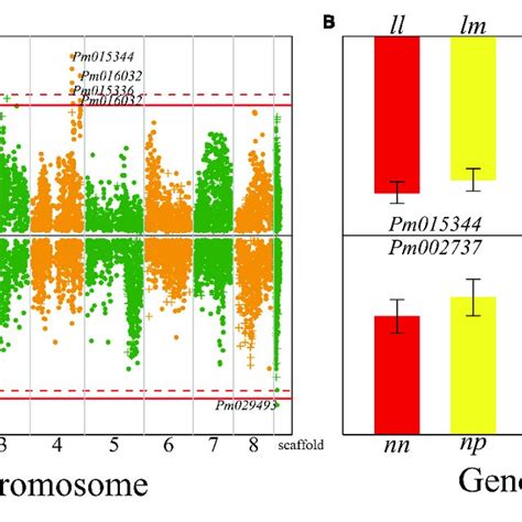 Identification Of Quantitative Trait Loci Qtls For Flower Size Download Scientific Diagram