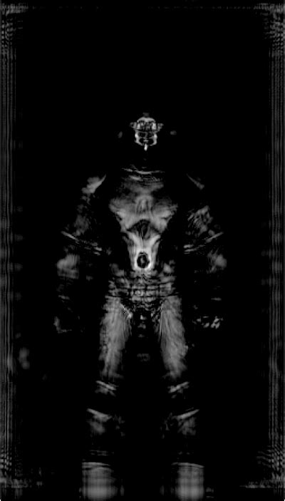 Test1 Object Detection Dataset And Pre Trained Model By Chi Zhang