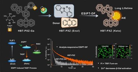 分析物触发的激发态分子内质子转移延迟荧光：时间分辨开启荧光成像的通用方法 Analytical Chemistry X Mol